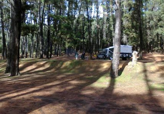 Nanga Mill Campground - Lane Poole Reserve (CG) - Full Range Camping ...