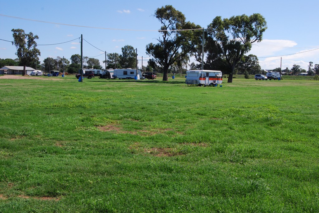 Narrabri Showground Dump Point (DP) - Full Range Camping Directory