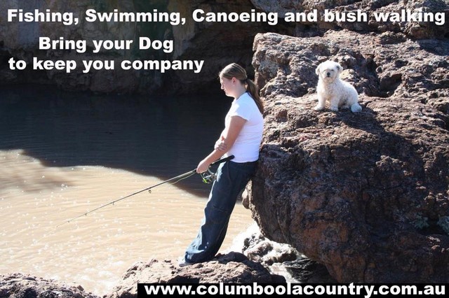 Columboola Country Caravan Park (CP) - Full Range Camping Directory
