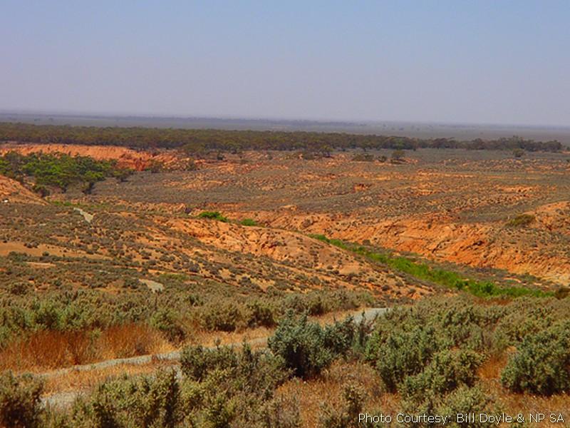 Red Banks Conservation Park - Baldina (FC) - Full Range Camping Directory