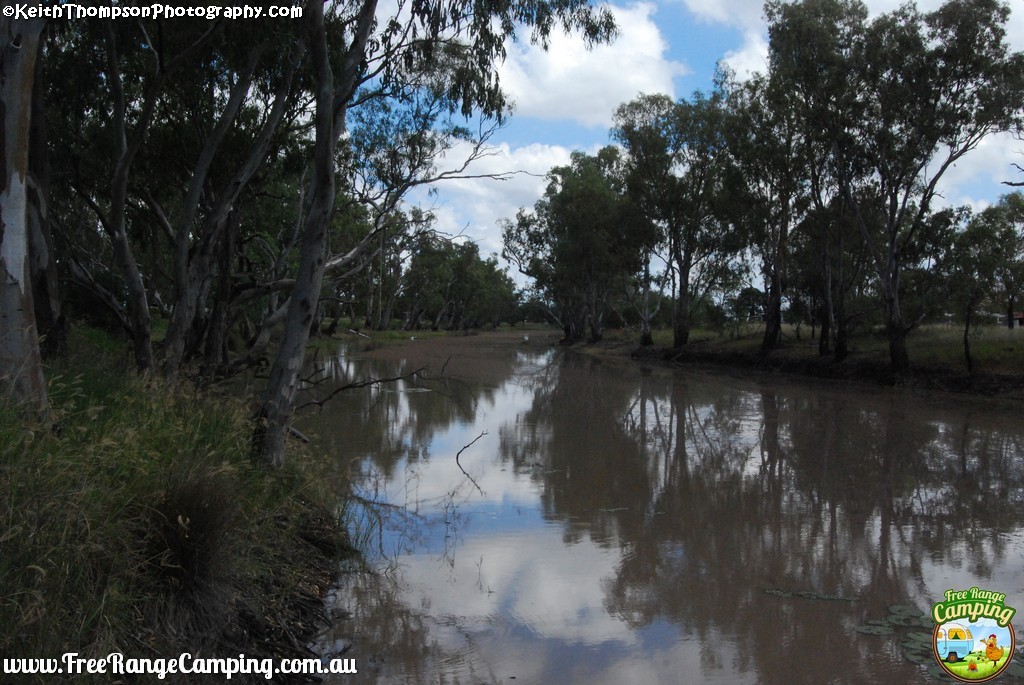 Brigalow Creek Campground - Meandarra (CG) - Full Range Camping Directory