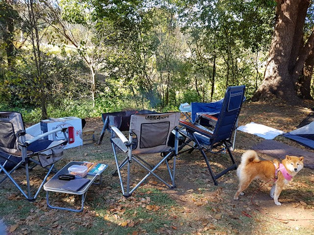 Sharp Park River Bend Country Bush Camping (CG) - Full Range Camping ...