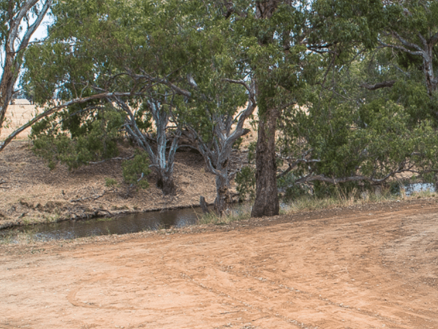 Avonmore Streamside Reserve (FC) - Full Range Camping Directory
